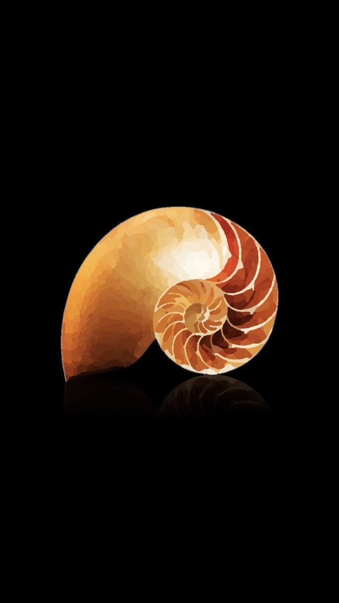 Frame Selection – The Golden Ratio